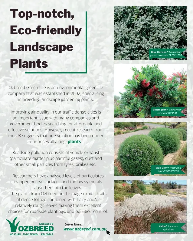 Top-notch, Eco-friendly Landscape Plants - PressReader