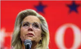 ‘We have to blow it up’: can never-Trumpers retake the Republican party ...