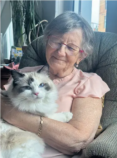 Bright Spaces, Warm Hearts, and the Joy of Home Freedom, Friendship, and a Fresh Start at Nigel ...