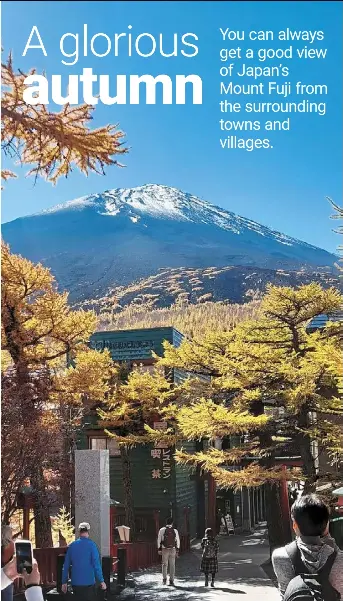 A glorious autumn - PressReader