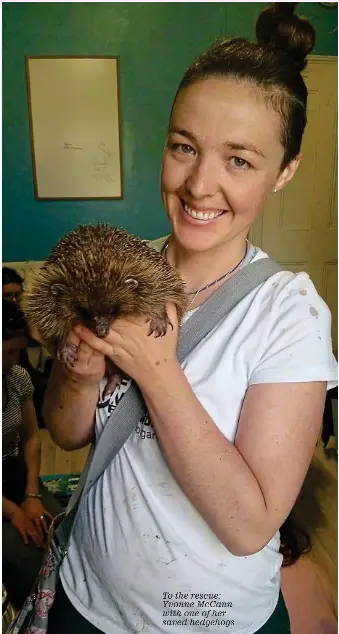 WHY HEDGEHOGS ARE SUFFERING A SPIKE IN INJURIES - PressReader