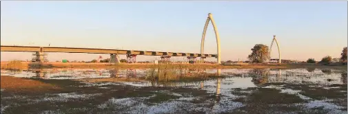 After Kazungula, Kgoboko eyes career masterpiec­e at Mohembo - PressReader