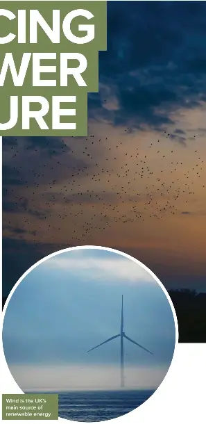 EMBRACING THE POWER OF NATURE - PressReader