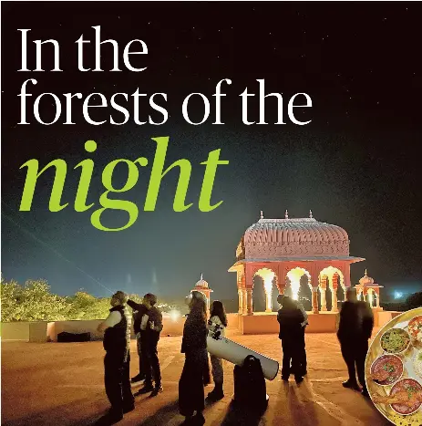 In the forests of the night - PressReader