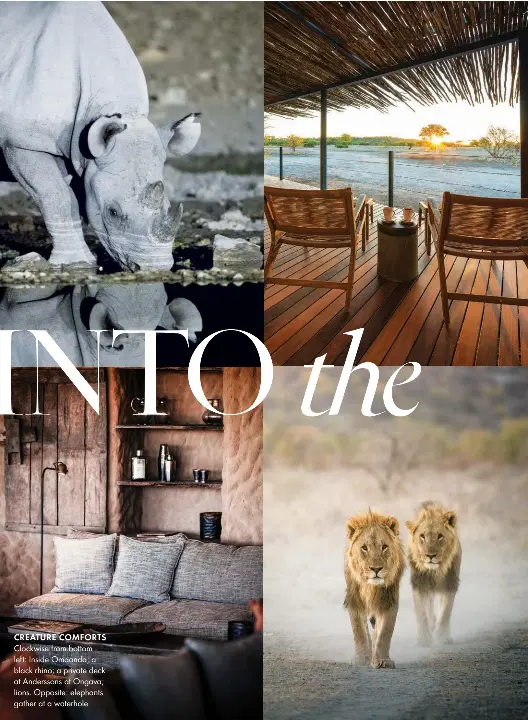 Into the Wild - PressReader