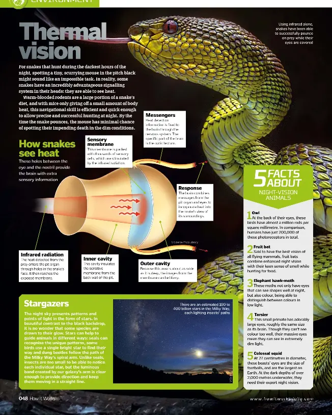 THERMAL VISION - PressReader