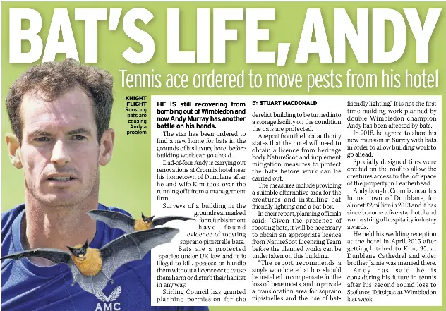 BAT’S LIFE, ANDY - PressReader