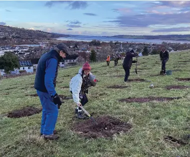 Community woodland plan takes root - PressReader