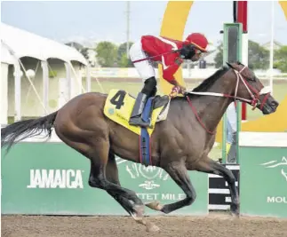 Divine Force steps up to Overnight Allowance with great expectatio­ns - PressReader