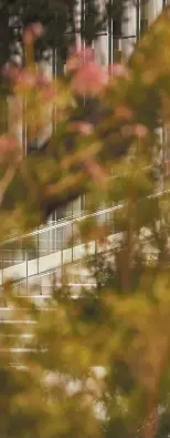 Alumni Park, University of New South Wales - PressReader