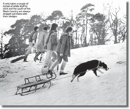 A blanket of snow, a blue sledge and the Human Sandwich - PressReader