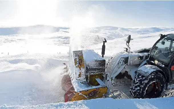 Farmers show true grit in dealing with the elements - PressReader