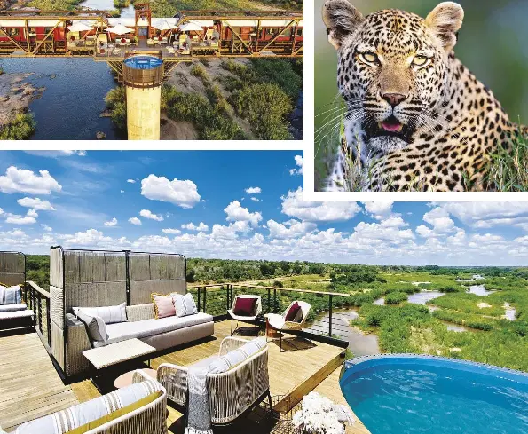 LOVELY, LUSH, LUXURY - PressReader