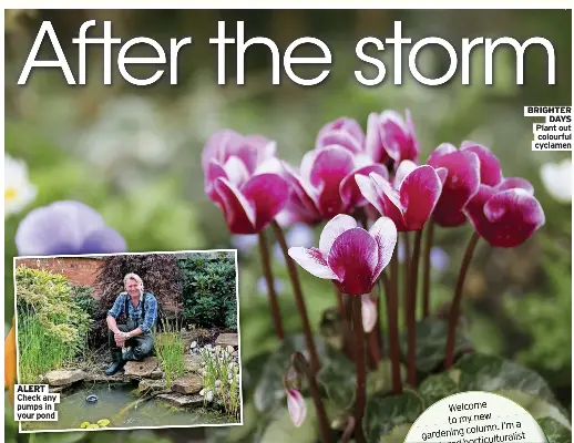 After the storm - PressReader
