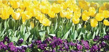 Spring into action - PressReader