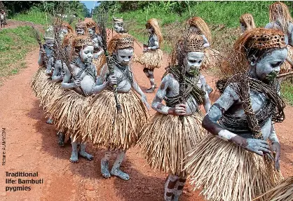 Tragedy of the pygmies - PressReader