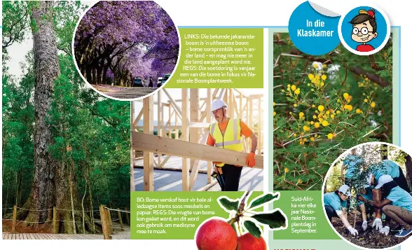 Leer meer oor bome - PressReader