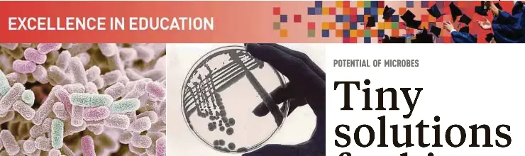 Tiny solutions for big problems - PressReader