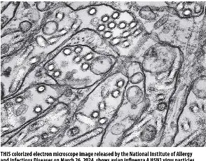 CDC calls for expanded testing for bird flu - PressReader