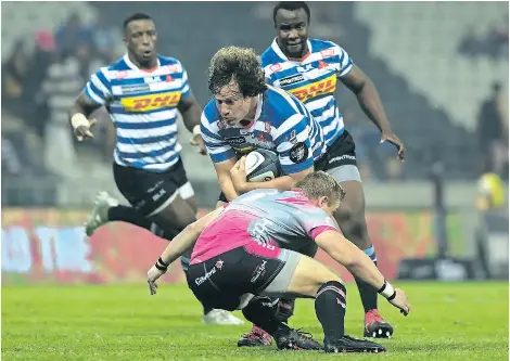 Dust Buster off to a great start - PressReader