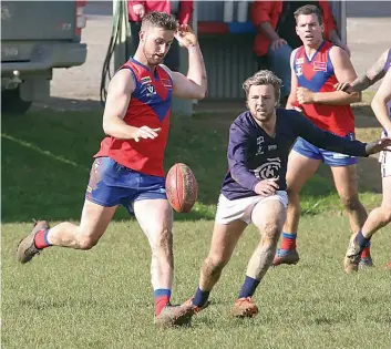 Cats cruise to crushing win - PressReader