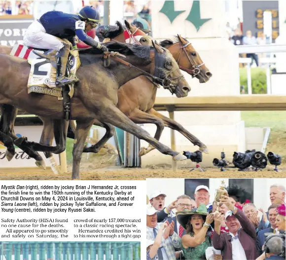 Mystik Dan wins 150th - PressReader