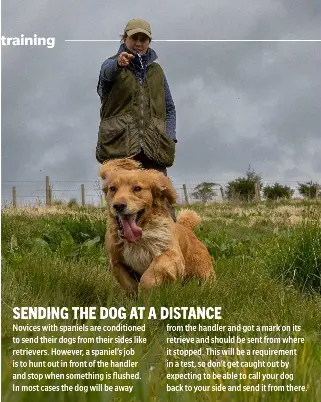 SENDING THE DOG AT A DISTANCE - PressReader