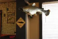 Bubba’s Catfish triples indoor capacity - PressReader