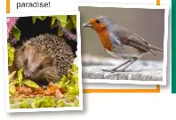 We’re Loving… - PressReader