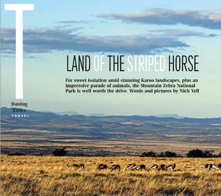 LAND OF THE STRIPED HORSE - PressReader