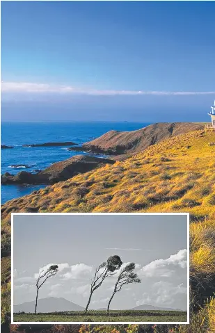 Tassie a secret weapon in clean energy plight - PressReader