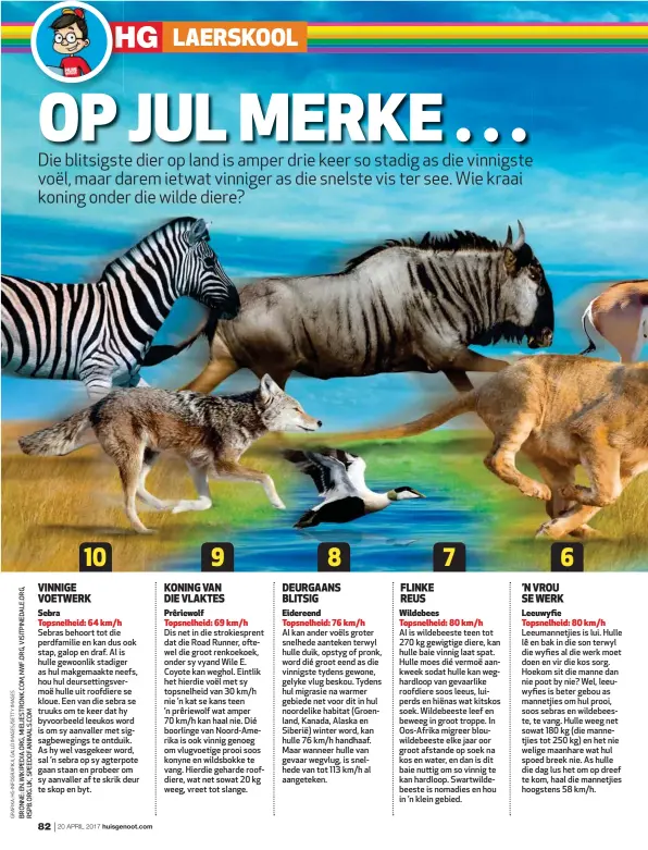 Dié ratse diere skop stof in ander se oë - PressReader