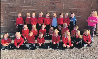 Mighty oaks from little acorns grow - PressReader