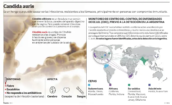 Candida auris: confirman los dos primeros casos del “súper hongo” en la ...