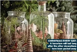 Create beautiful bottles of Christmas cheer - PressReader