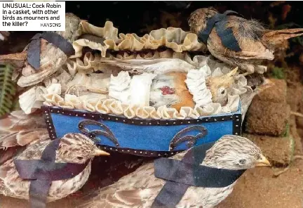 ‘Creepy’ stuffed Cock Robin display could fetch £5,000 - PressReader