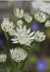 Different angles - PressReader