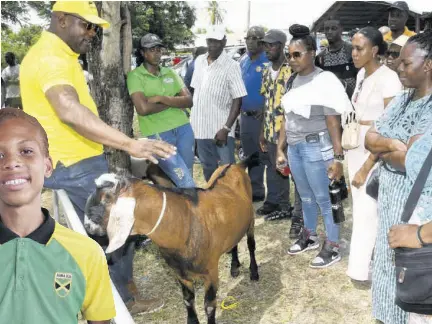 Young farmer inspired by displays at Denbigh - PressReader