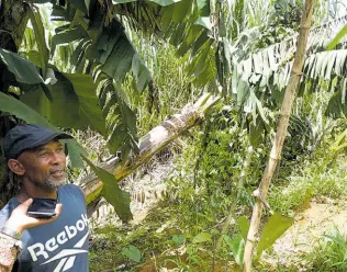 Double whammy - PressReader