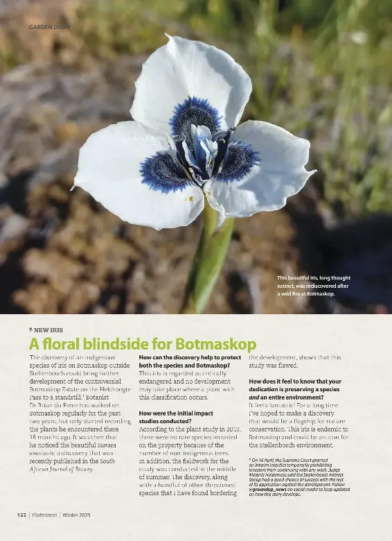 A floral blindside for Botmaskop - PressReader
