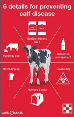 Govt takes January Disease head-on - PressReader