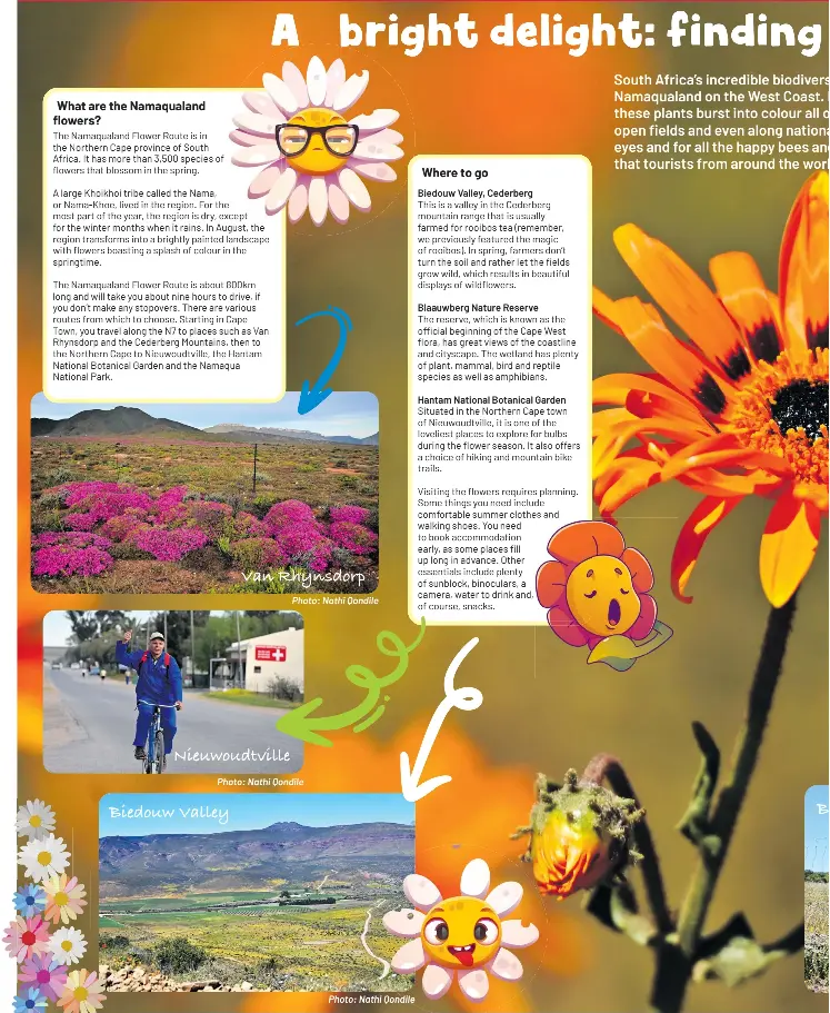 A bright delight: finding fields of fantastic flowers - PressReader