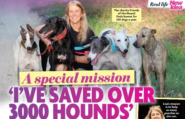 ‘I’VE SAVED OVER 3000 HOUNDS’ - PressReader