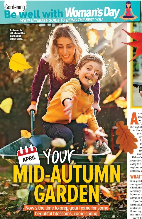 Your MID-AUTUMN GARDEN - PressReader