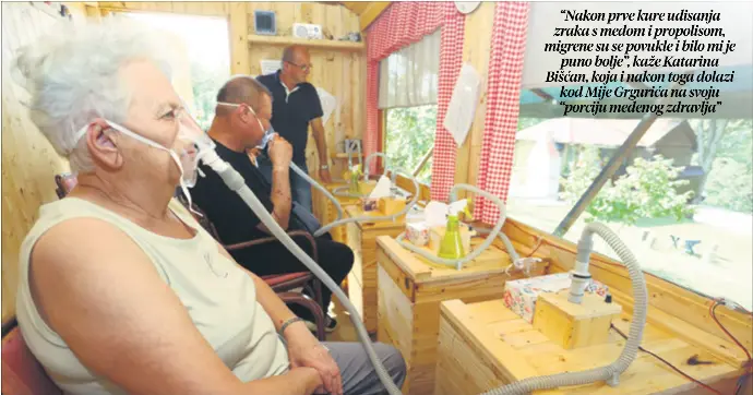 Api komora pomaže kod brojnih bolesti – i djeci i odraslima - PressReader