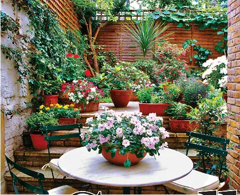 Small is beautiful - PressReader