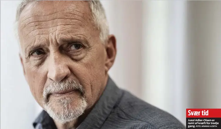 SIGTER EFTER 710 ÅR - PressReader