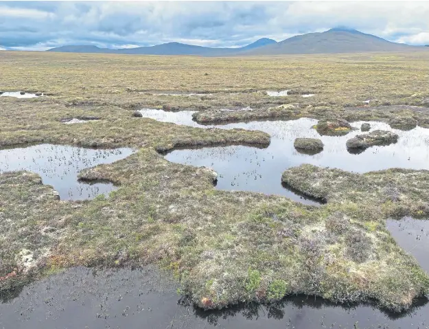 World heritage status for Flow Country - PressReader