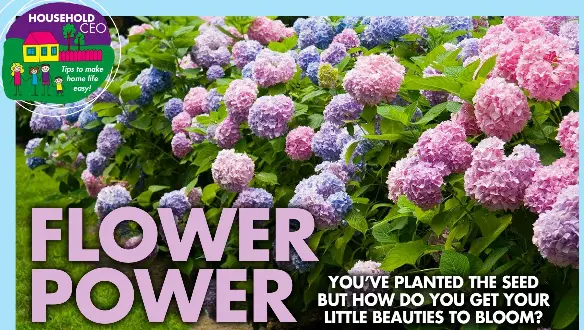 FLOWER POWER - PressReader