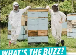 WHAT’S THE BUZZ? - PressReader